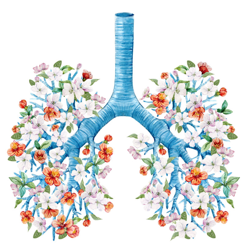 5 Ways to Maintain Respiratory Health in Seniors | FRHC